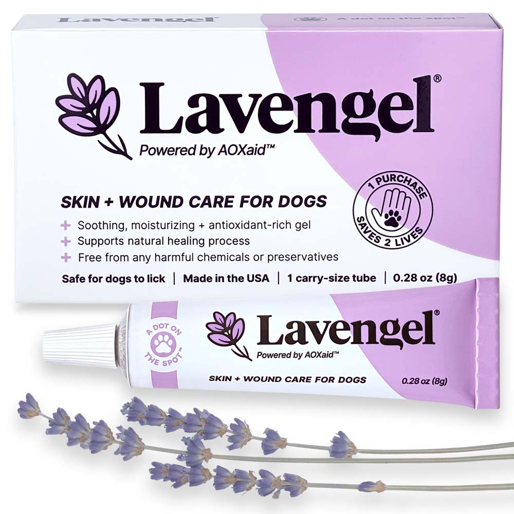 Treating Burns in Dogs + First Aid for Burned Skin and Paws – Lavengel