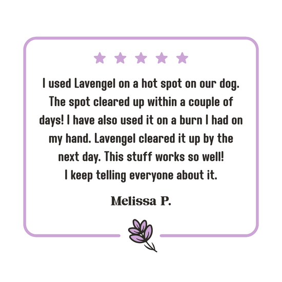 Treating Burns in Dogs + First Aid for Burned Skin and Paws – Lavengel